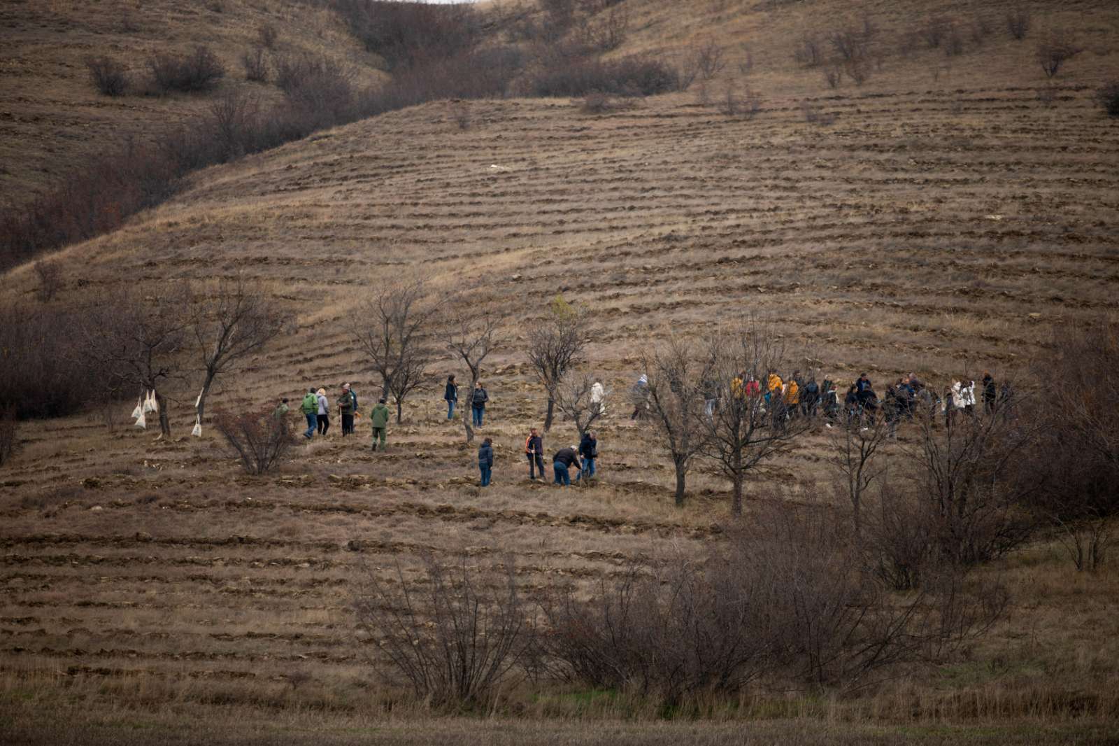 Пошумување на дел од Скопска Црна Гора - Алсат ТВ