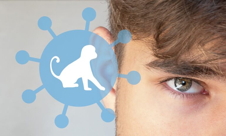 Се шират мајмунските сипаници, регистриран прв случај во Индија - Алсат ТВ