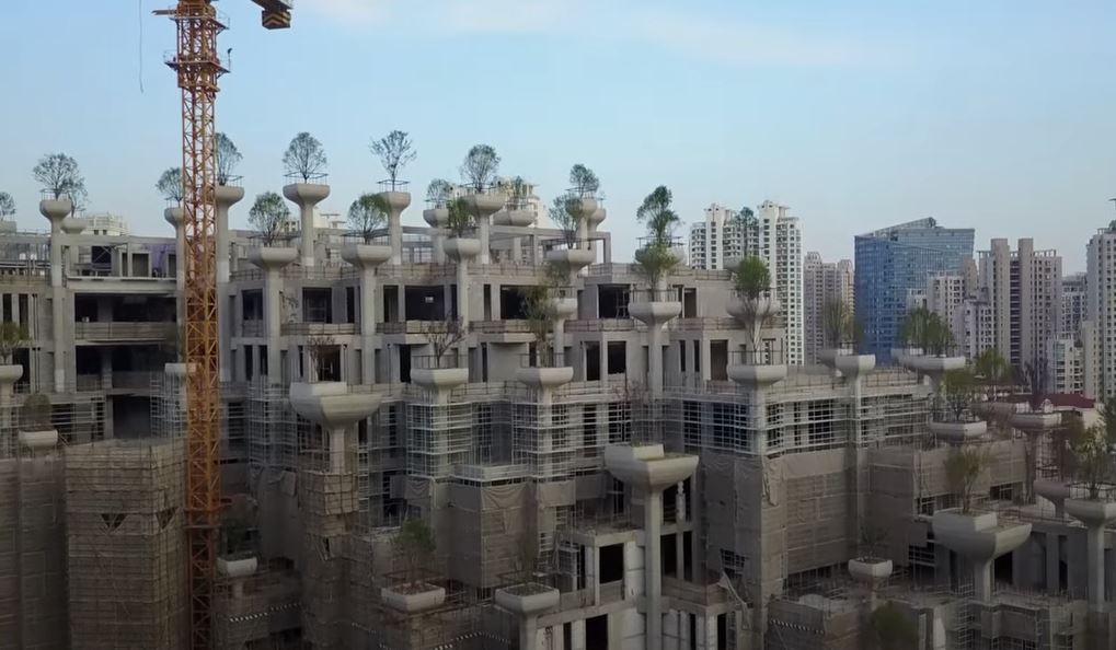 Kinë, kompleksi mbulohet nga pemët - Alsat