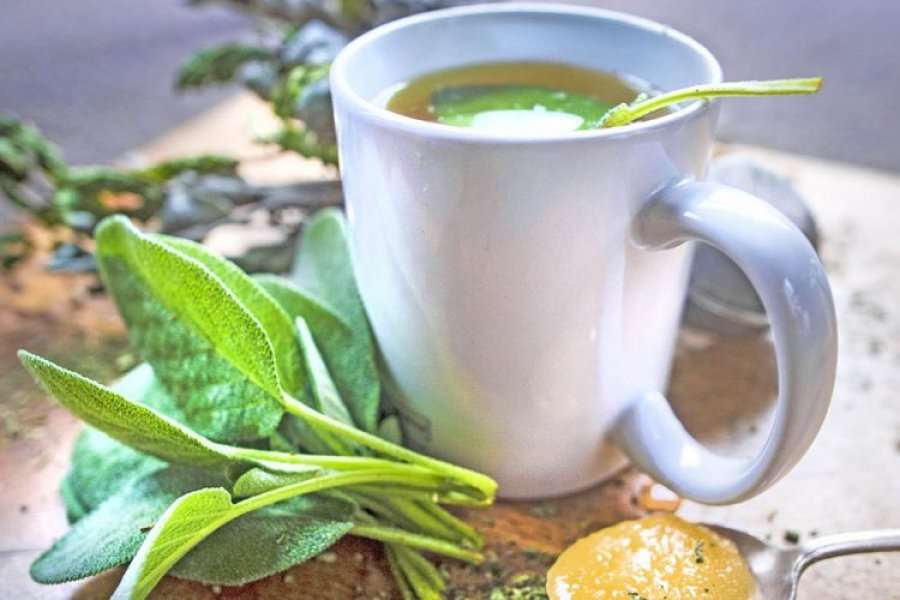 Çaji i sherebelës dhe hithrës kundër alergjive të stinës - Alsat