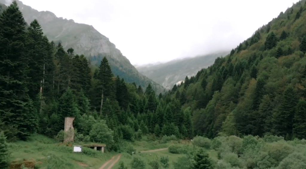 “Pyjet” përballen me mungesë kuadri - Alsat