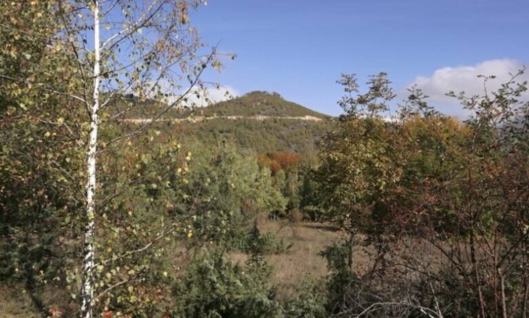 Ndalesa për lëvizje në pyje, shkakton polemika mes Drejtorisë së Pyjeve ...