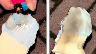 Pavarësisht që ia ndezin shkrepësen, akullorja kineze nuk shkrihet - Alsat