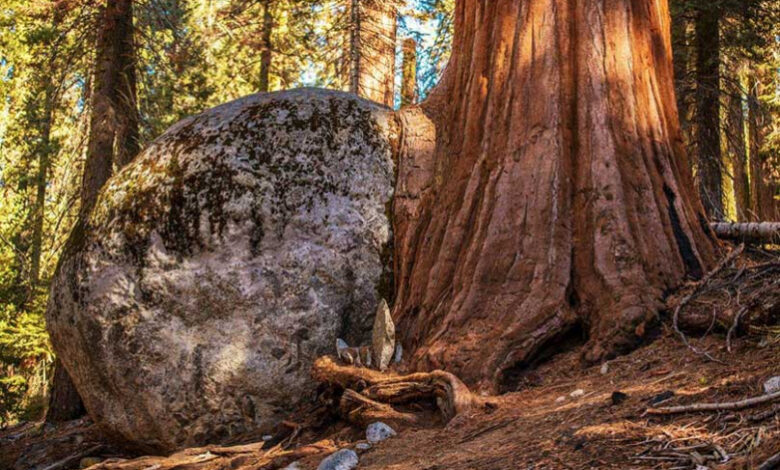 Shkëmbinj të ç'rregullt: Ata duken jashtë vendit dhe janë dëshmi e ...