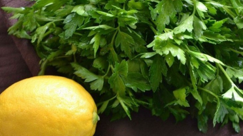 Kombinimet me majdanoz për veshka të shëndetshme - Alsat