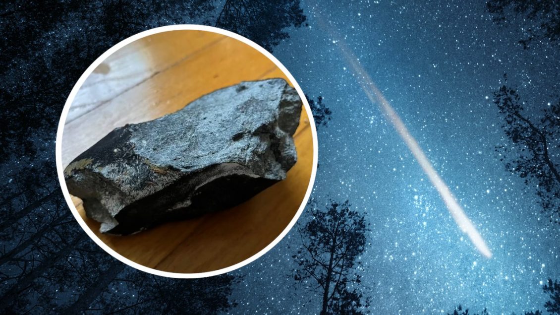 Një meteorit goditi një shtëpi në New Jersey - Alsat