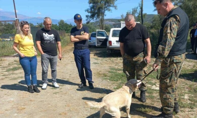 Vazhdon kërkimi për të zhdukurin nga Tenova, çantat e hedhura plot me ...