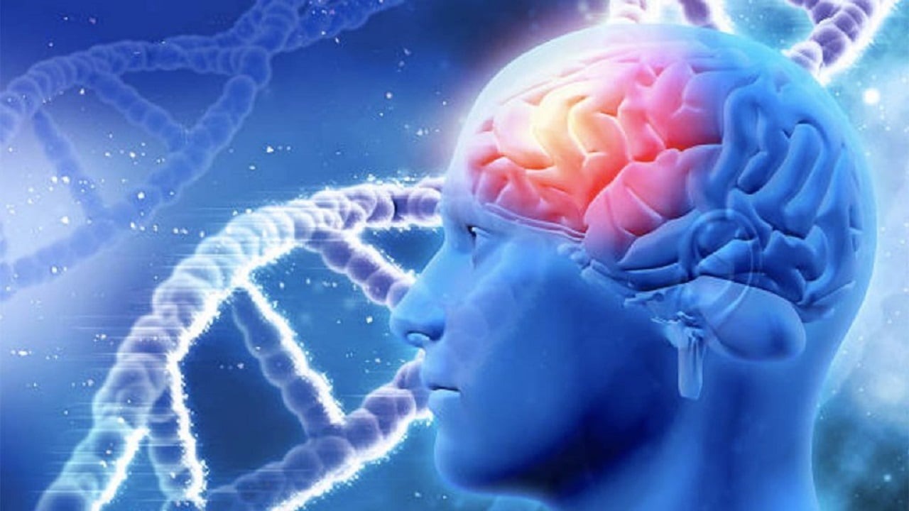 Arsyeja e habitshme pse njeriu humbet kujtesën - Alsat