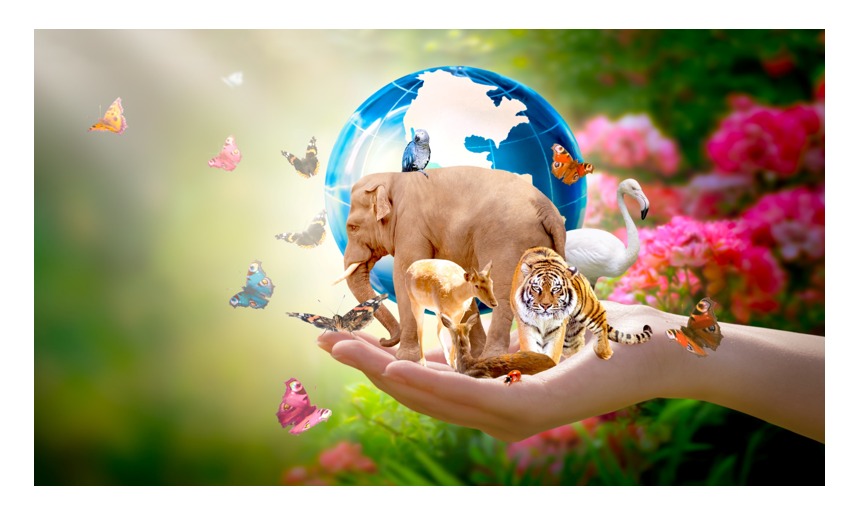 Dita Botërore e Biodiversitetit - Alsat