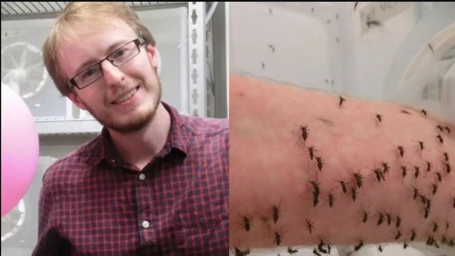 Njihuni me burrin që lejon mushkonjat ta pickojnë, për një arsye shumë ...