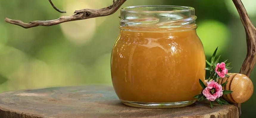 Studimi i ri: Mjalti manuka parandalon rritjen e qelizave të kancerit ...