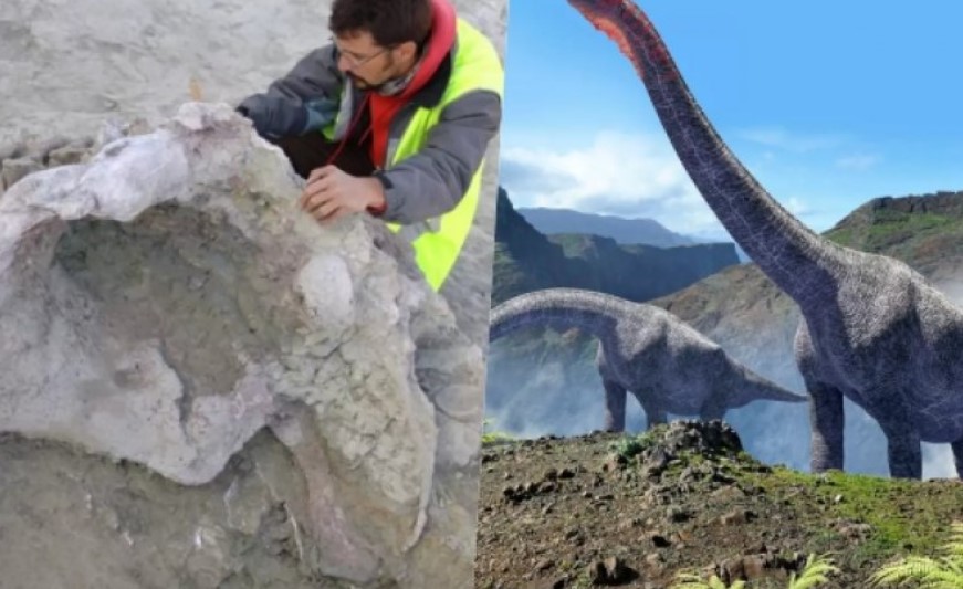 Zbulohen mbetjet e një specieje të re dinosauri që ka jetuar 75 milionë ...