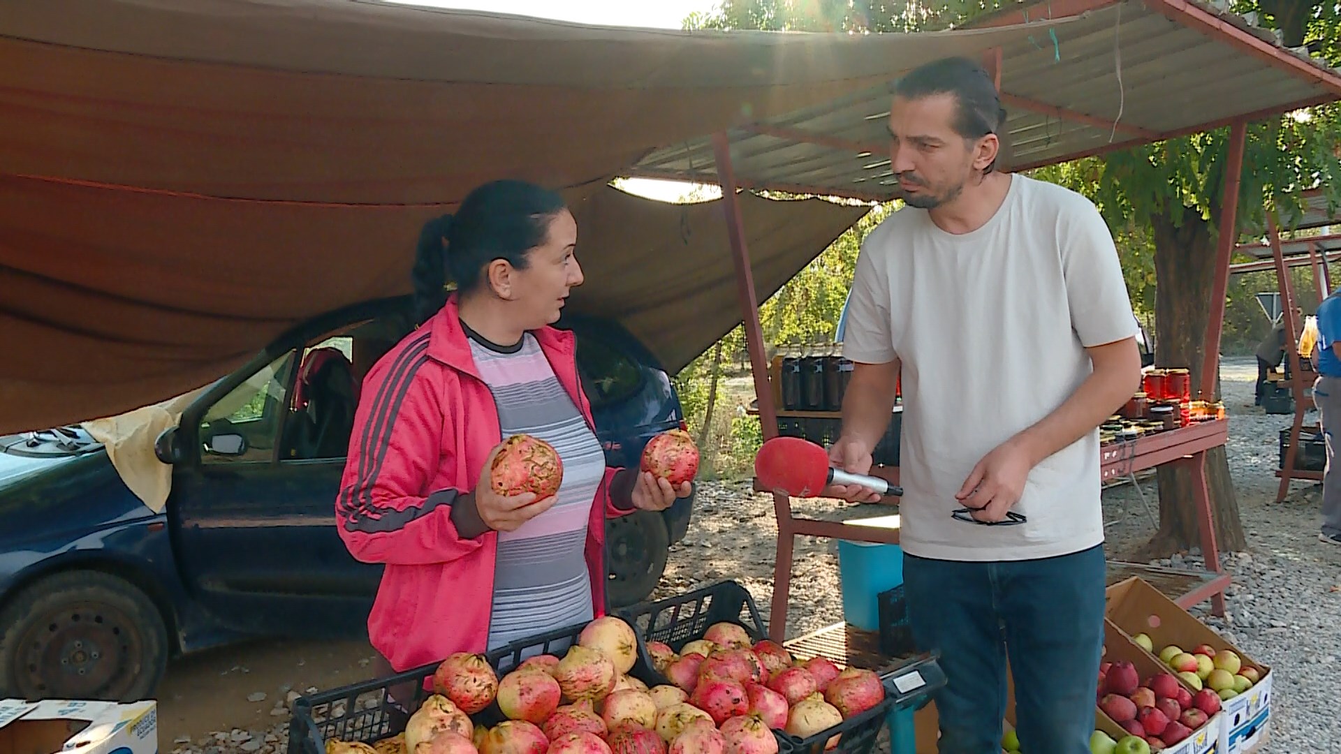 Avokatja Rajkova, kultivuese e shegëve - Alsat