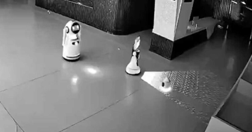 Roboti në miniaturë Erbai bindi 12 kolegë robotë të tjerë më të mëdhenj ...