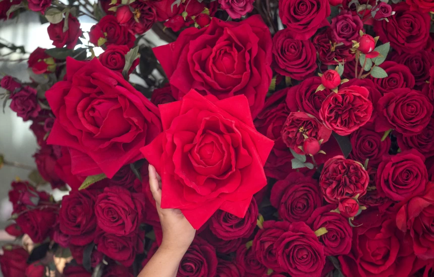 Çka është Shën Valentini? - Alsat