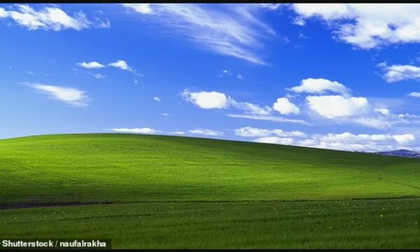 Njerëzit ndihen të pikëlluar kur zbuluan së si duket fotoja më të ...